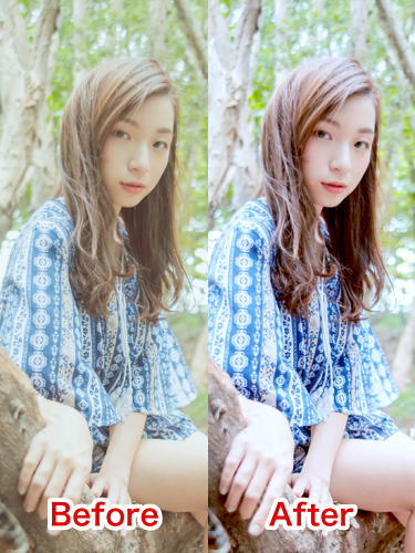 New Feature - ibisPaint